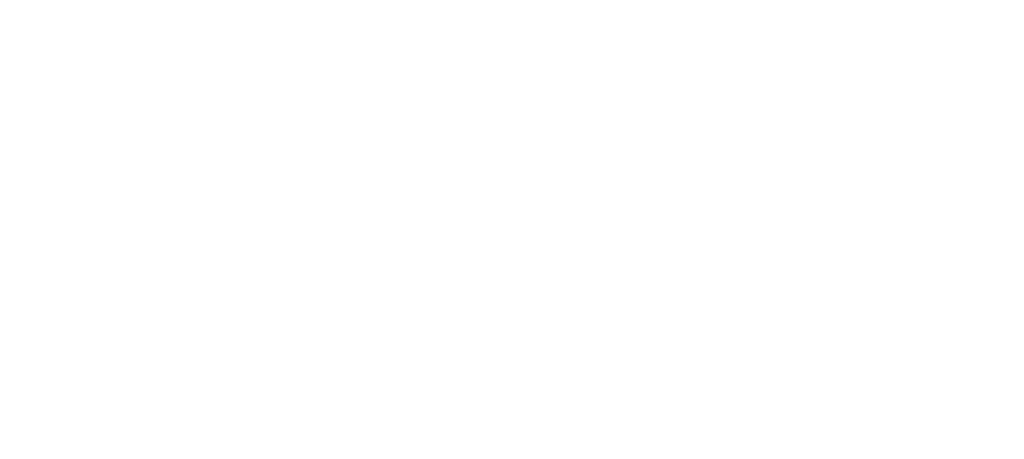 Carreiras | Wellz - INHIRE